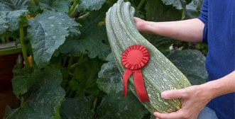 Talent Management - CMI